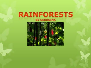 Rainforests | PPT