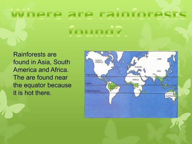 Rainforests | PPT