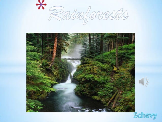 Rainforests | PPTX