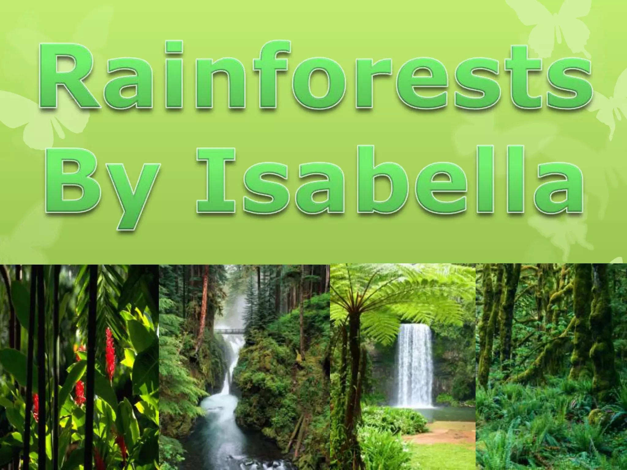 Rainforests | PPT