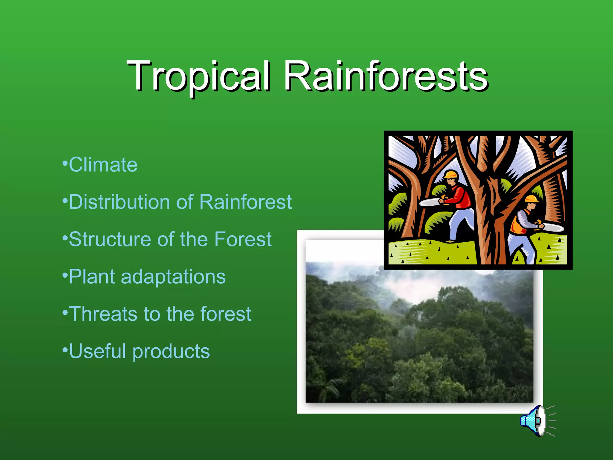 Rainforests | PPT