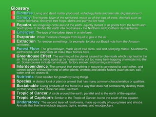Rainforests | PPT