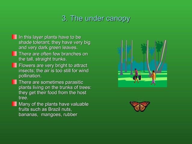 Rainforests | PPT | Gardening | Home & Garden