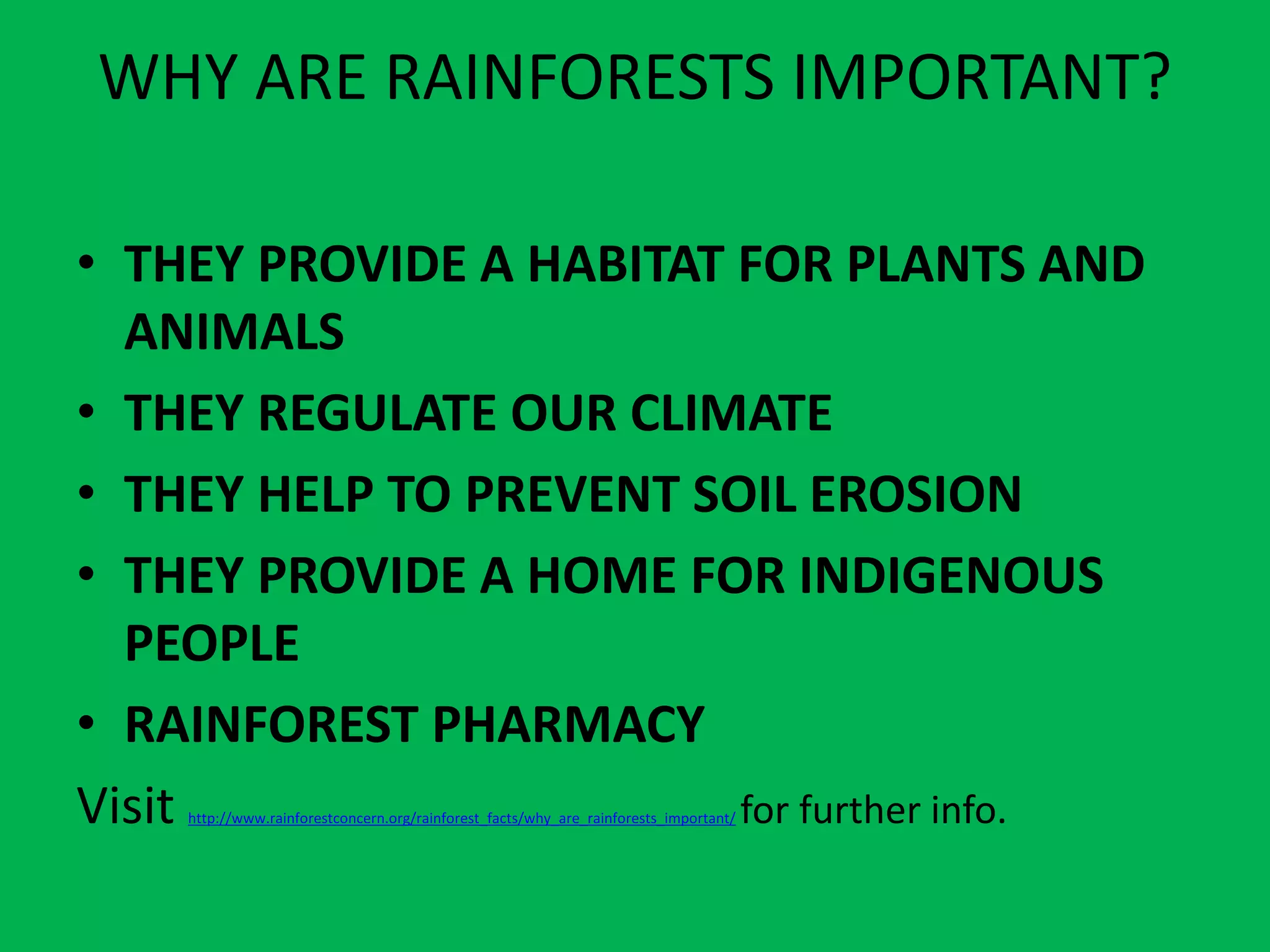 IBDP Geography HL Rainforests | PPTX
