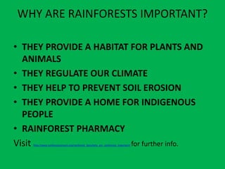 IBDP Geography HL Rainforests | PPTX