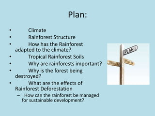 IBDP Geography HL Rainforests | PPT