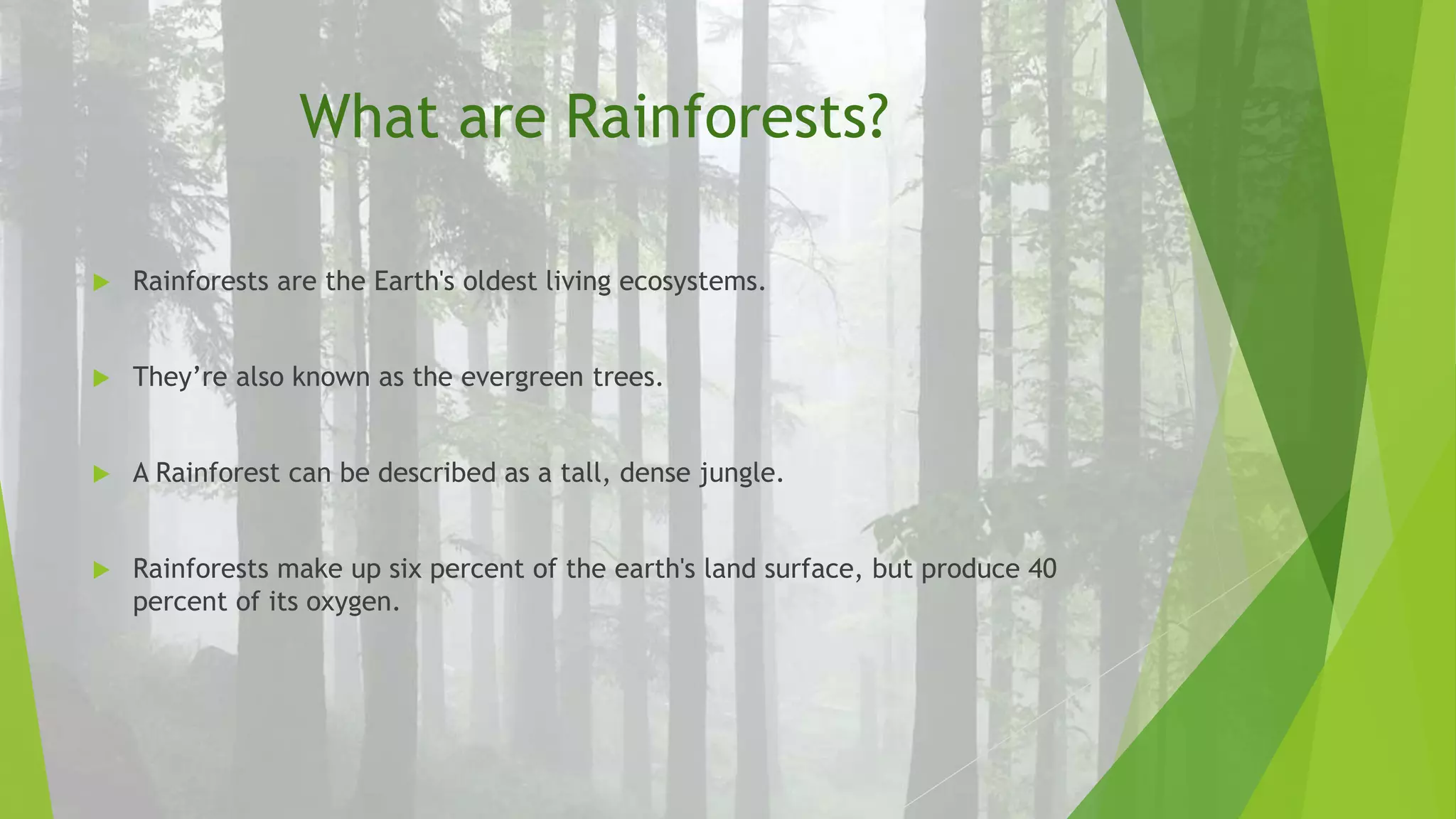 Rainforests | PPT | Free Download