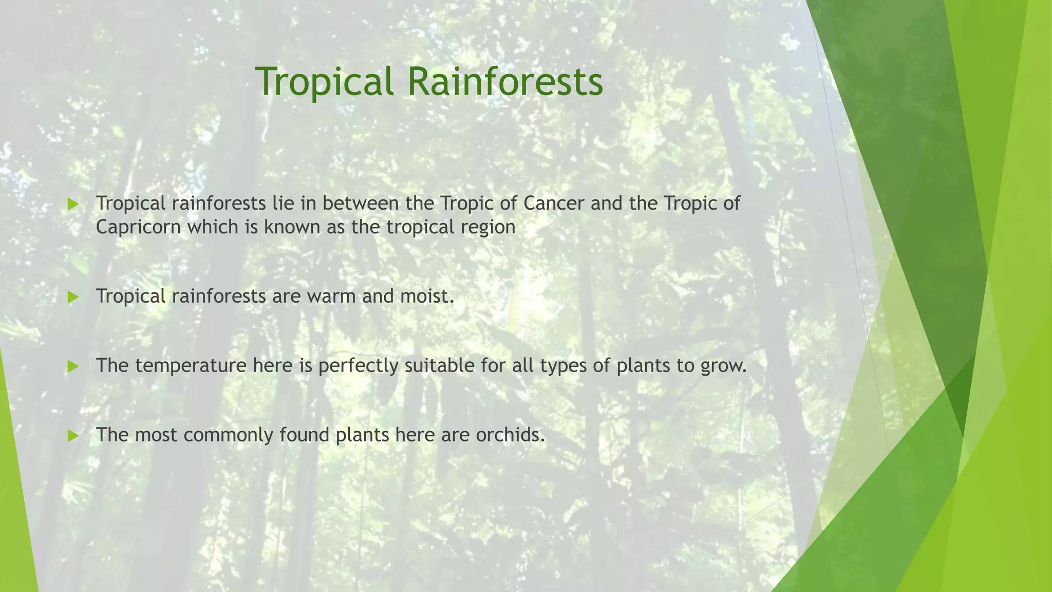 Rainforests | PPT