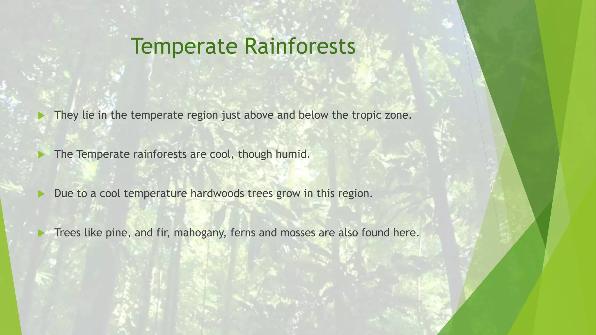 Rainforests | PPT