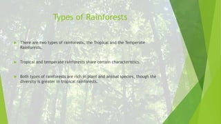 Rainforests | PPT