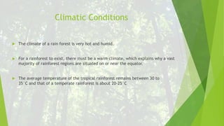 Rainforests | PPT