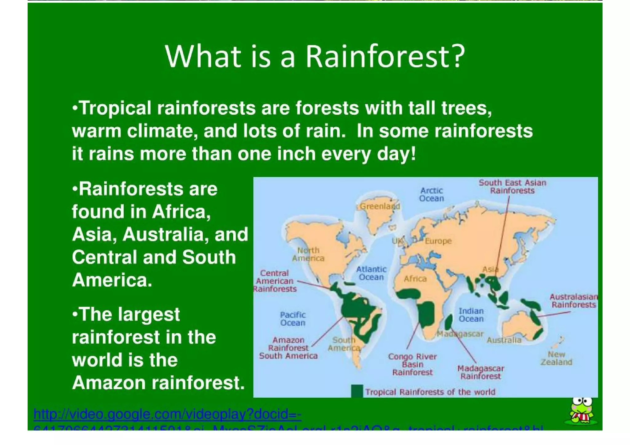 Rainforests | PPT