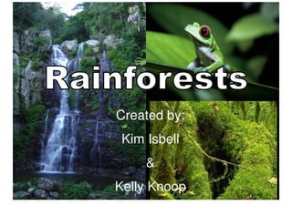 Rainforests | PDF