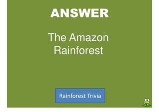Rainforests | PDF