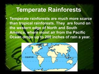 Rainforests of the world with images and explanation | PPT