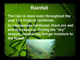 Rainforests of the world with images and explanation | PPT