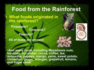 Rainforests of the world with images and explanation | PPT