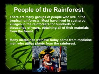 Rainforests of the world with images and explanation | PPT