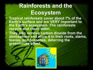 Rainforests of the world with images and explanation | PPT