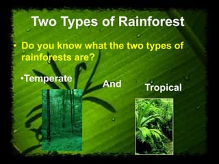 Rainforests of the world with images and explanation | PPT