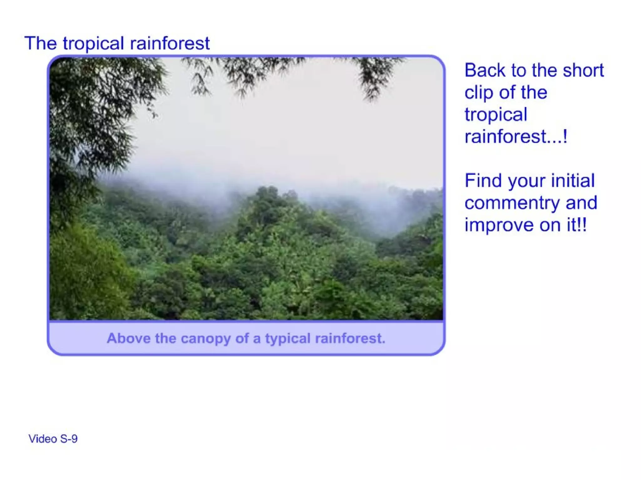 Rainforests & Climate Change | PPT