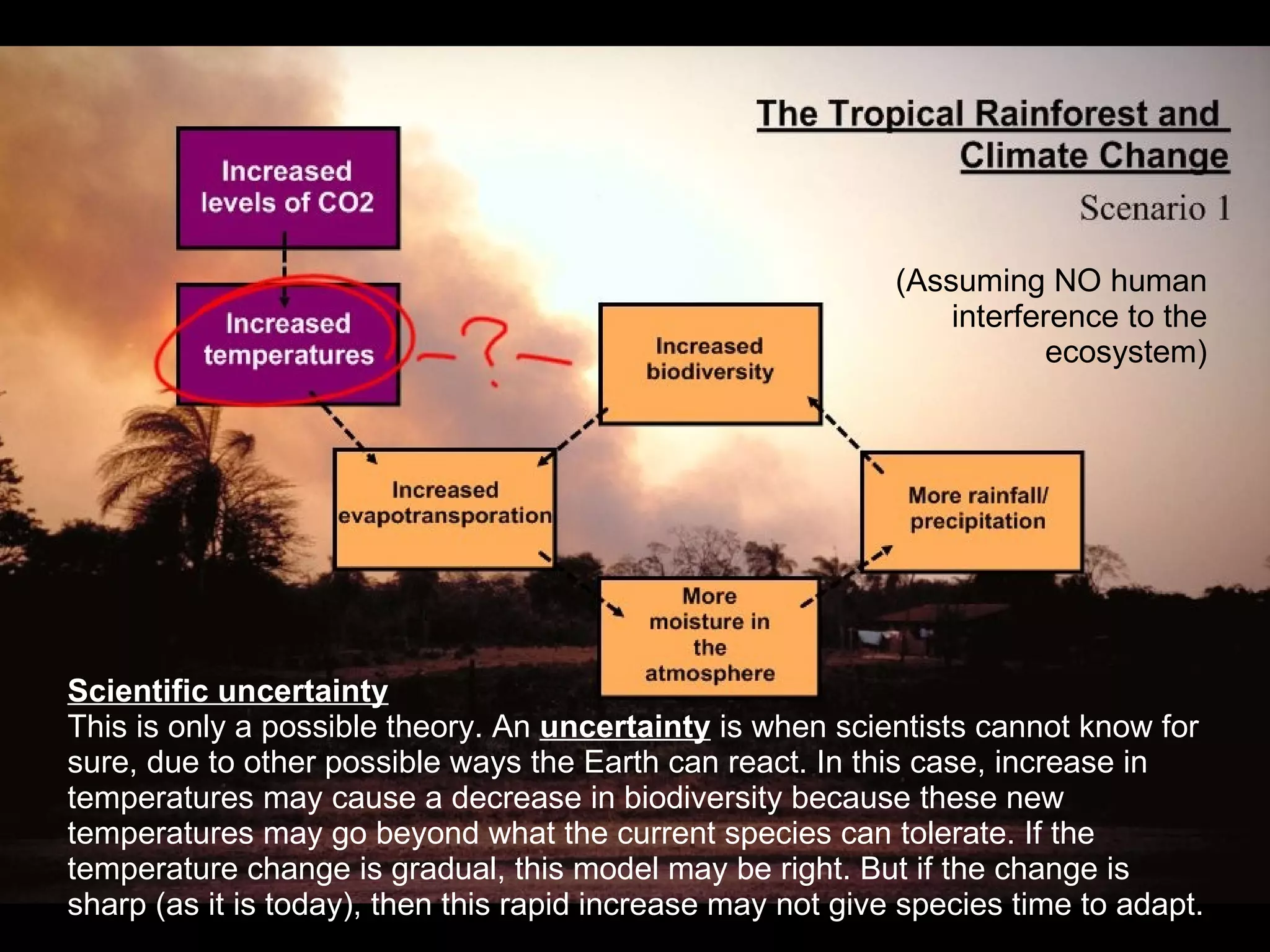 Rainforests & Climate Change | PPT