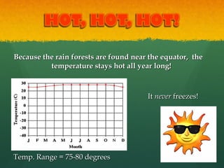 Rainforests Powerpoint | PPT