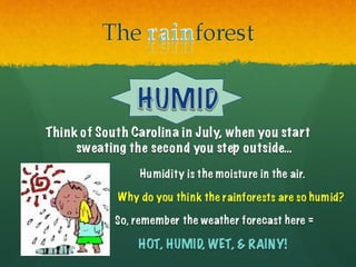 Rainforests Powerpoint | PPT