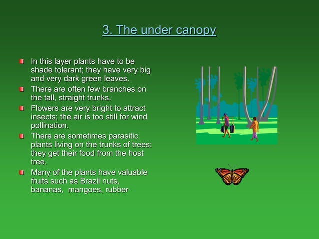 rainforests_copy.ppt