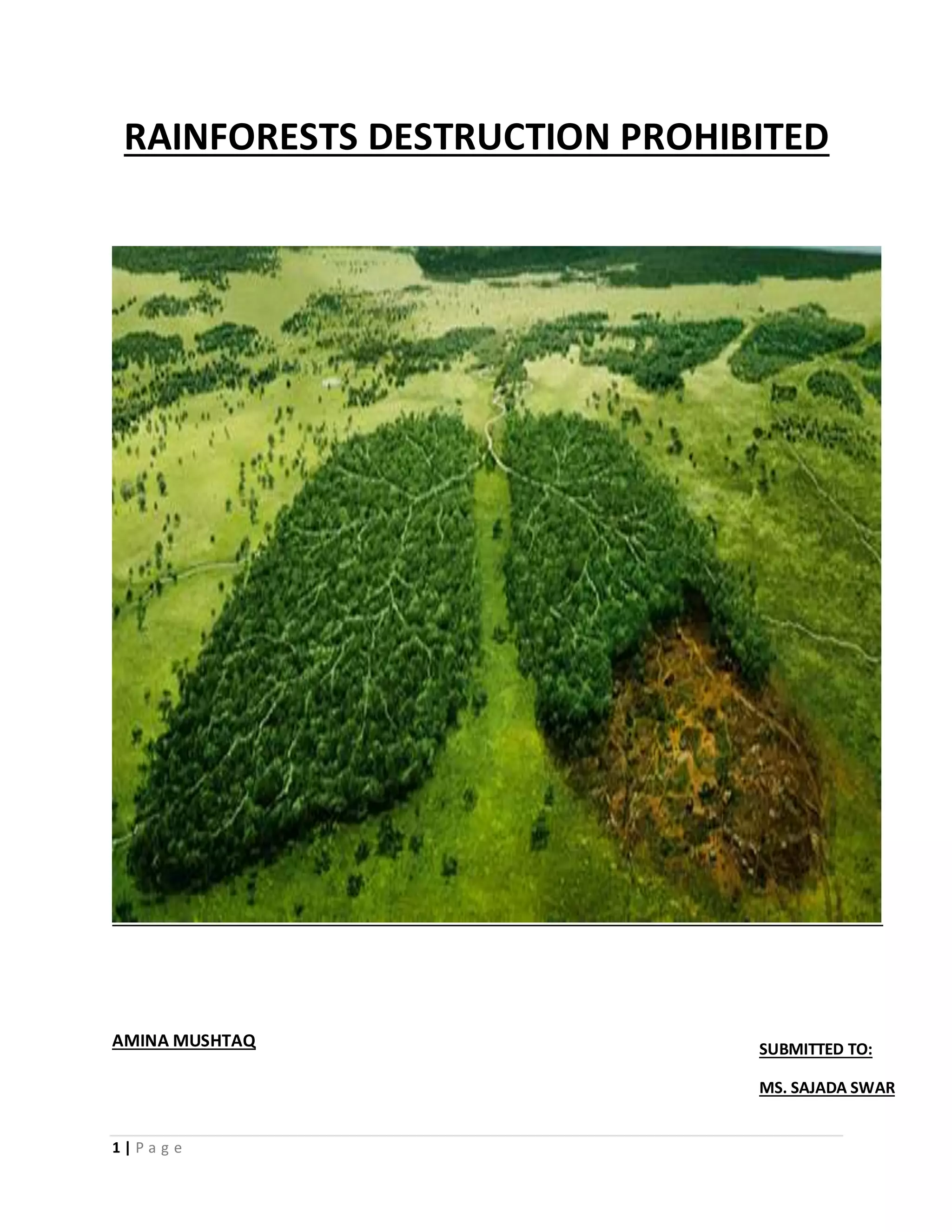 Rainforests destruction prohibited | PDF
