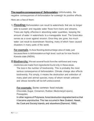 Rainforests destruction prohibited | DOCX