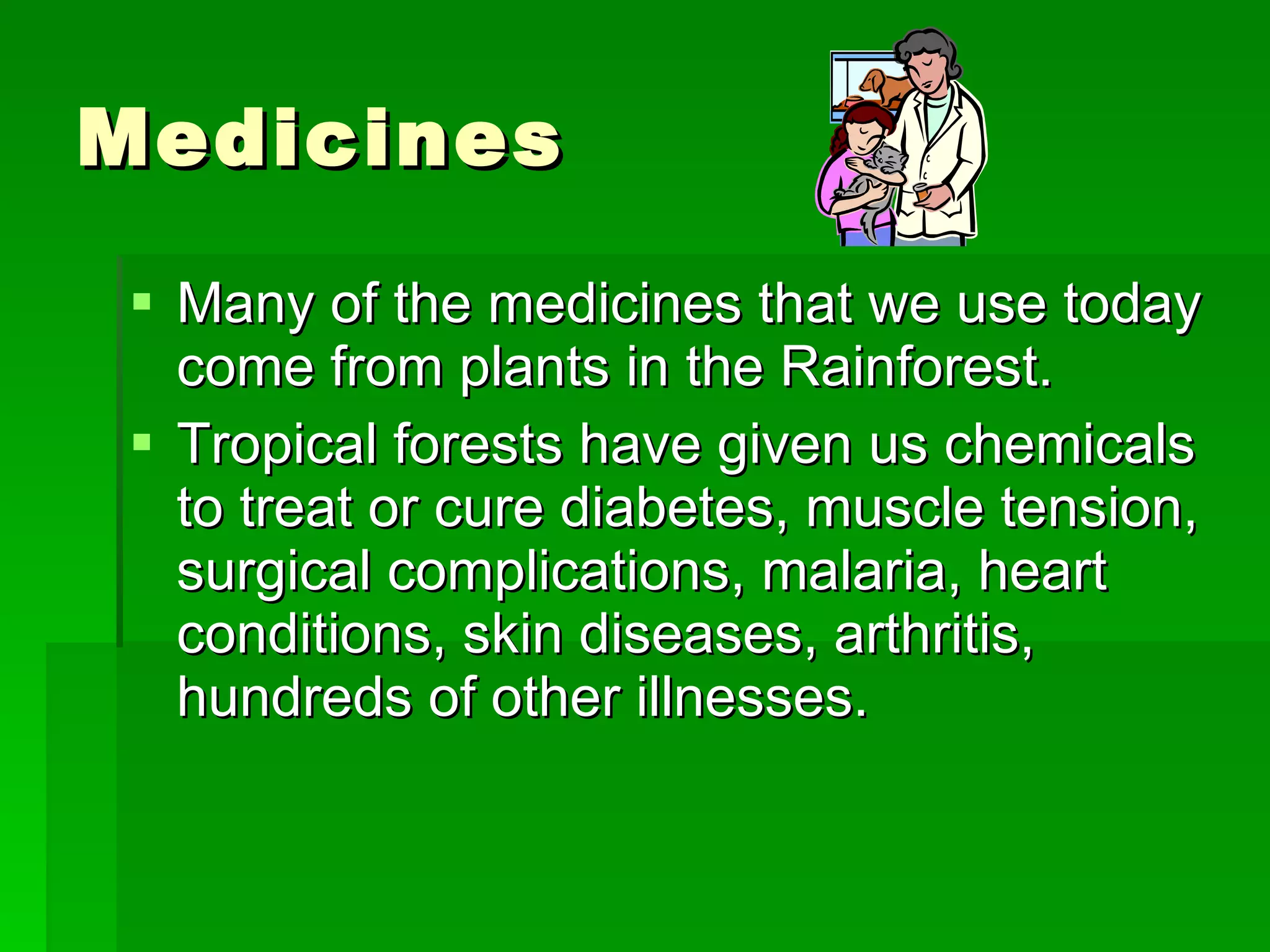 Rainforests in our Daily Lives | PPT