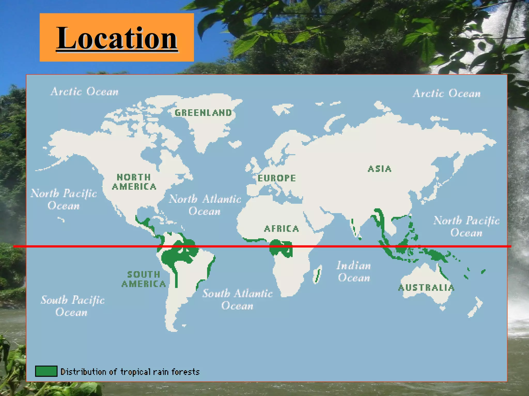 Rainforests Lesson 1&2 | PPT