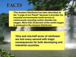 Rainforests Lesson 1&2 | PPT