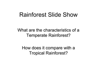 Rainforest slide show | PPT