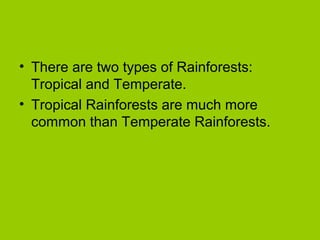Rainforest slide show | PPT