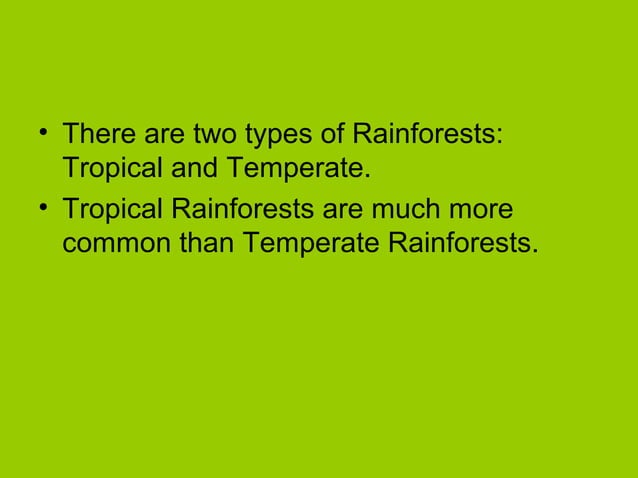 Rainforest slide show | PPT