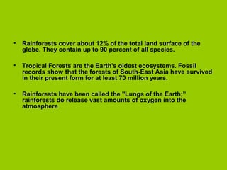 Rainforest slide show | PPT