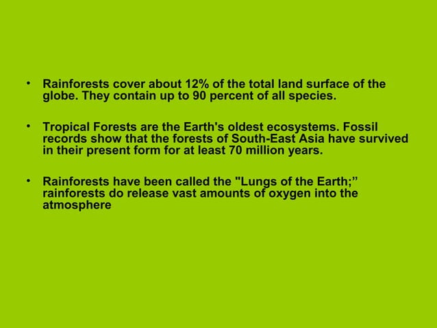 Rainforest slide show | PPT