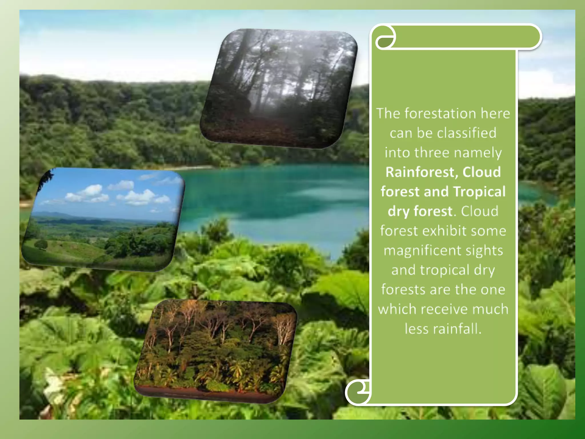 Rainforests of costa rica | PPTX