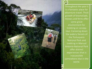 Rainforests of costa rica | PPTX