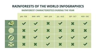 Rainforests of the World Infographics.pptx