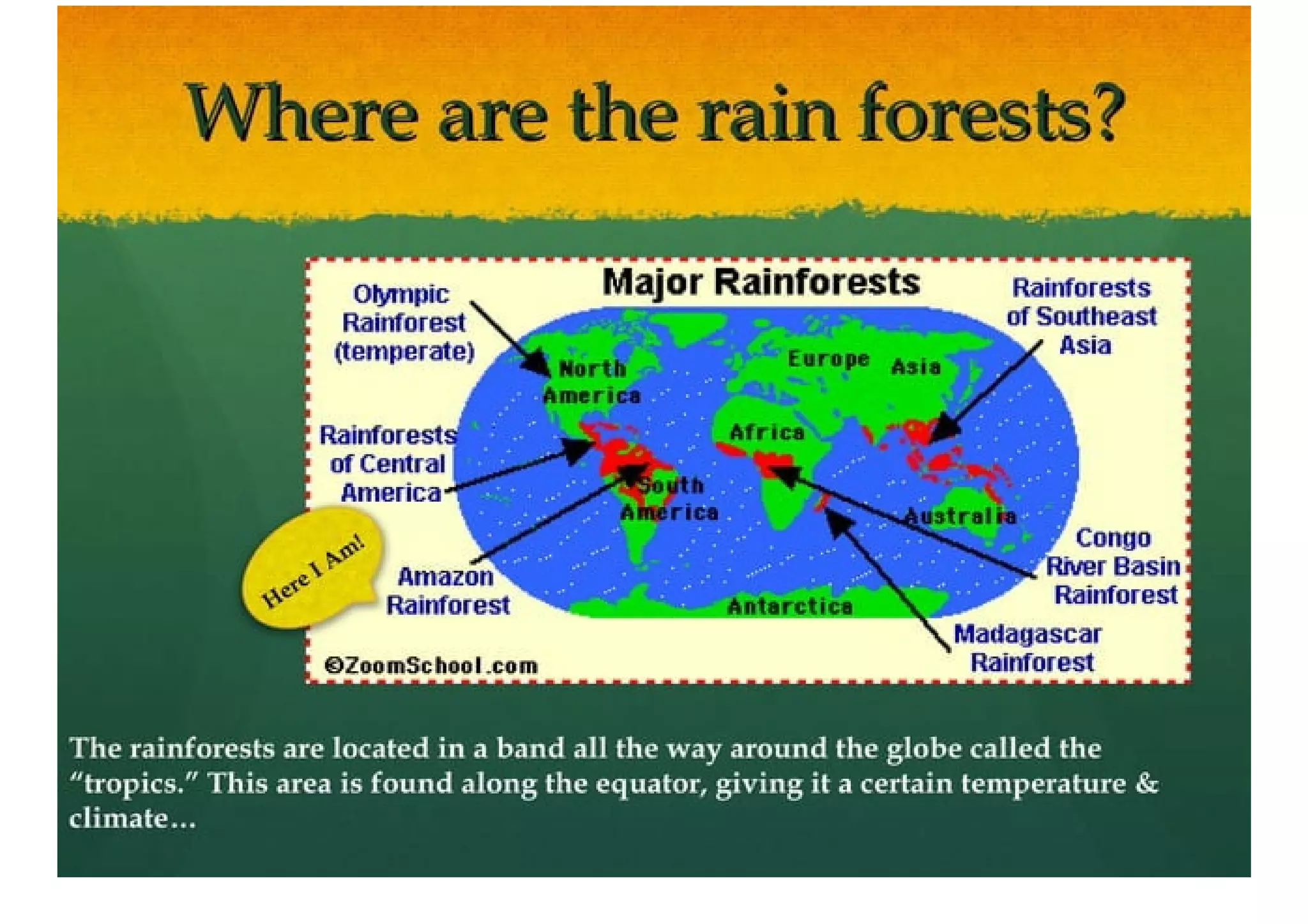 Rainforests Powerpoint | PPT