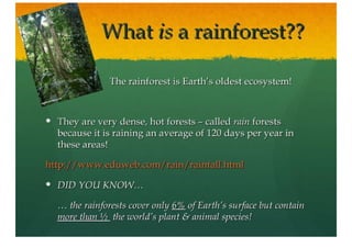 Rainforests Powerpoint | PPT