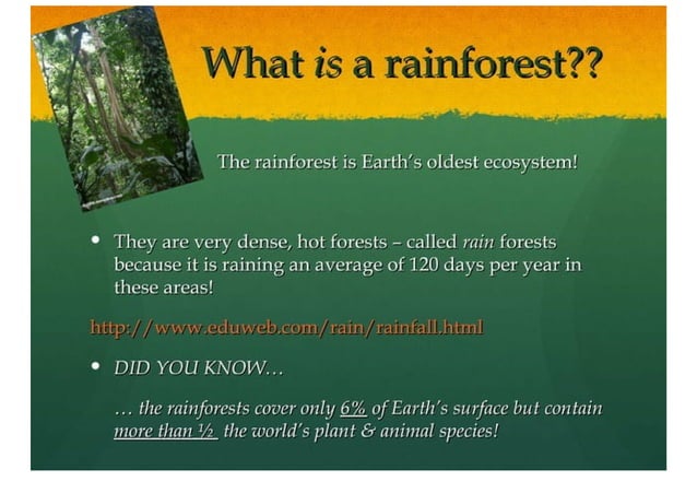 Rainforests Powerpoint | PPT