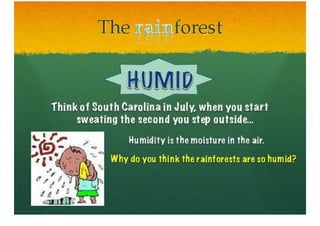 Rainforests Powerpoint | PPT