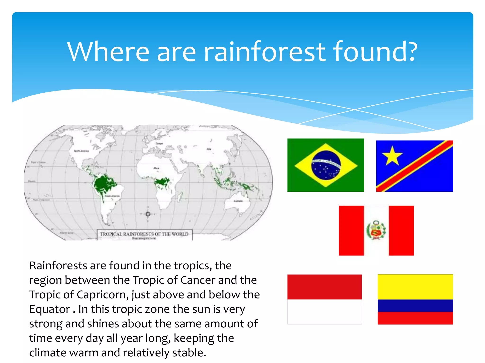 Rainforests by Veronica | PPTX | Geography | Science