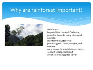 Rainforests by Veronica | PPTX | Geography | Science
