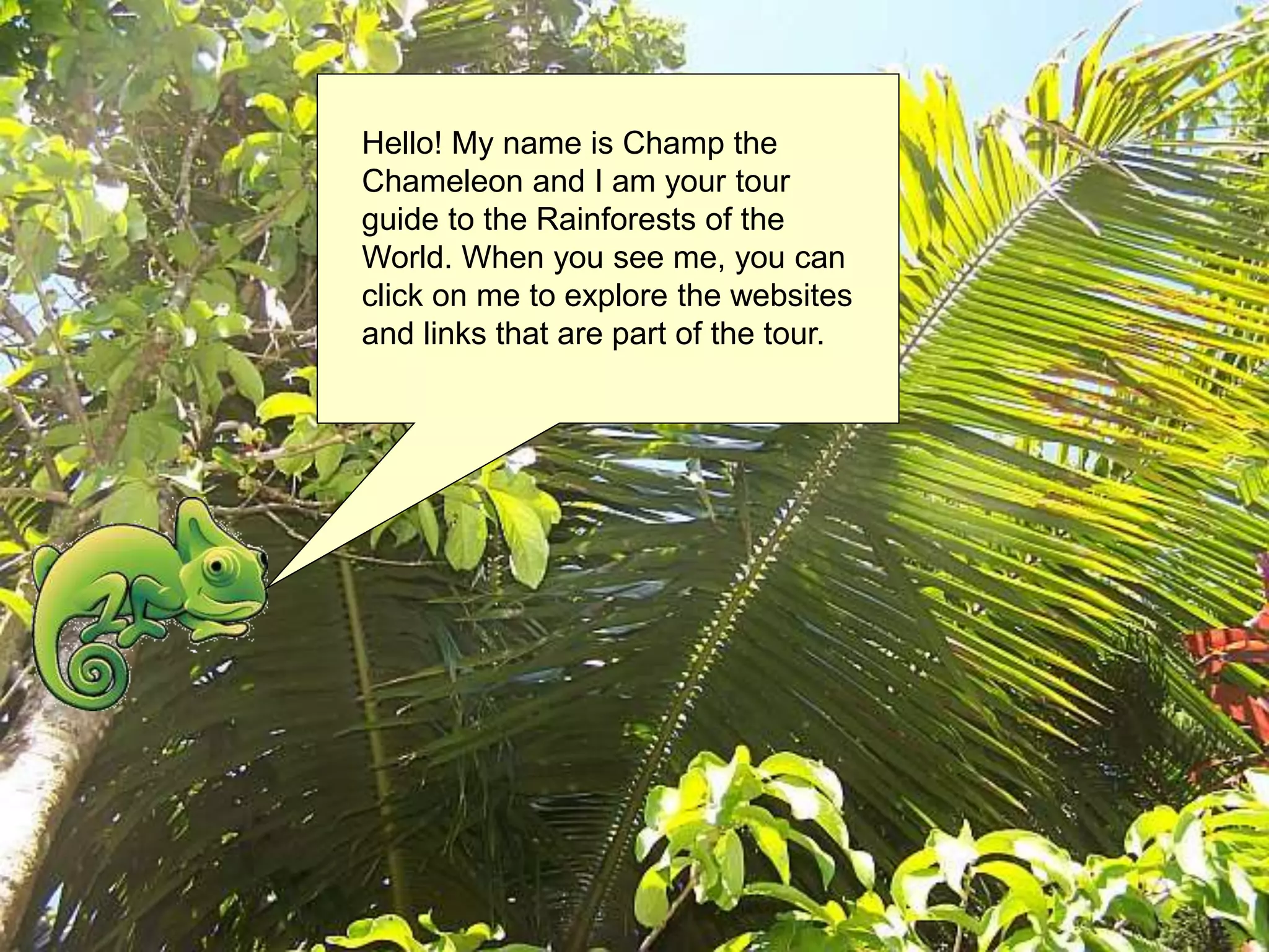 Rainforest virtual field trip | PPT