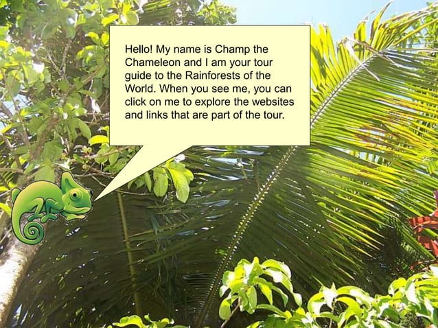 Rainforest virtual field trip | PPT